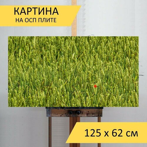 Картина на ОСП 125х62 см. "Мак, пшеница, природа" горизонтальная, для интерьера, с креплениями
