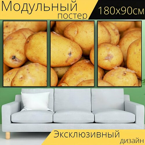 Модульный постер "Картошка, земляной плод, уборка урожая" 180 x 90 см. для интерьера