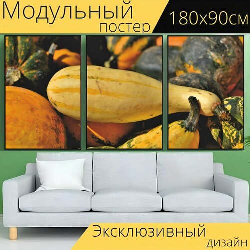Модульный постер "Тыква, фрукты, падение" 180 x 90 см. для интерьера