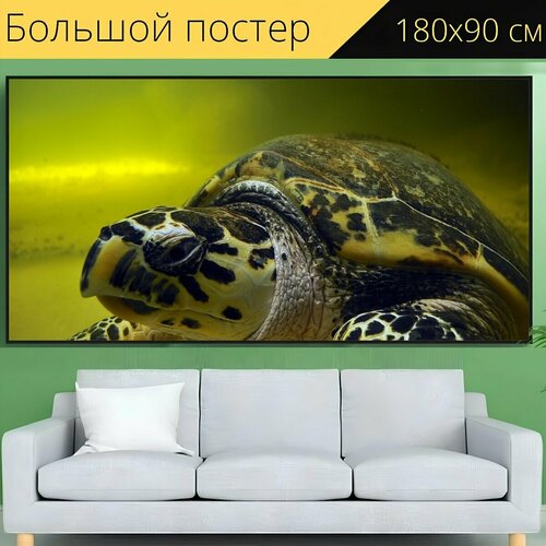Большой постер "Черепаха, вода, плавать" 180 x 90 см. для интерьера