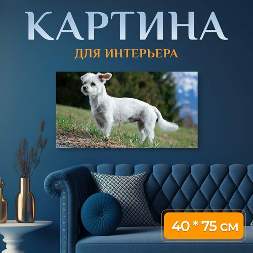 Картина на холсте "Собака, белый, грубый" на подрамнике 75х40 см. для интерьера