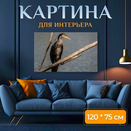 Картина на холсте "Птица, баклан, озеро" на подрамнике 120х75 см. для интерьера