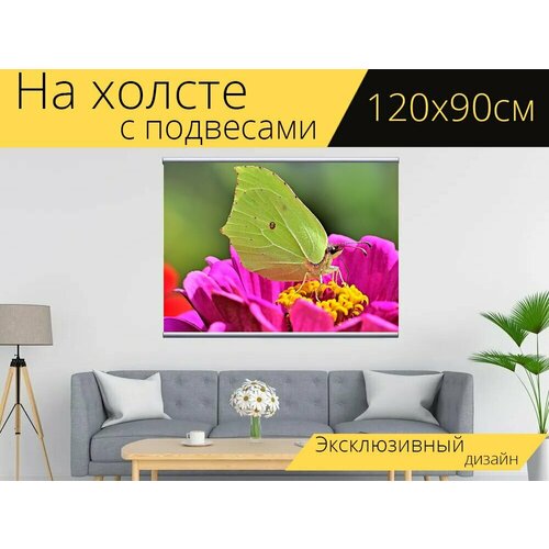 Картина на холсте "Бабочка, крушинница, природа" с подвесами 120х90 см. для интерьера