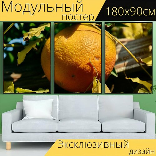 Модульный постер "Осень, сухие листья, апельсины" 180 x 90 см. для интерьера