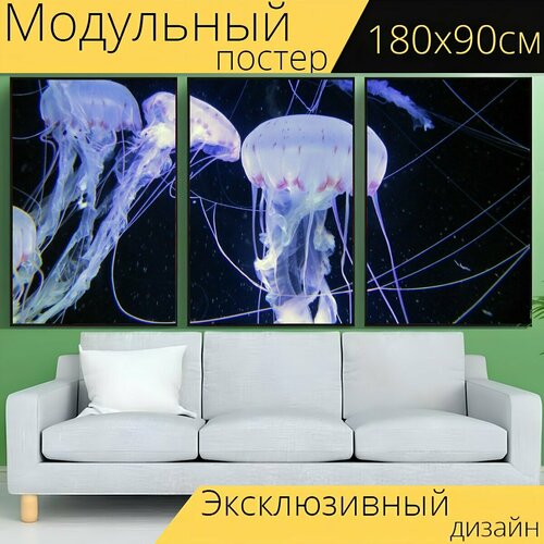 Модульный постер "Медуза, морские животные, аквариум" 180 x 90 см. для интерьера