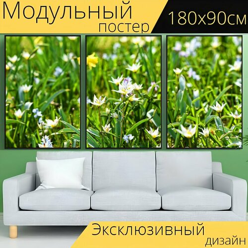 Модульный постер "Белый цветок, цветок, цветок весны" 180 x 90 см. для интерьера
