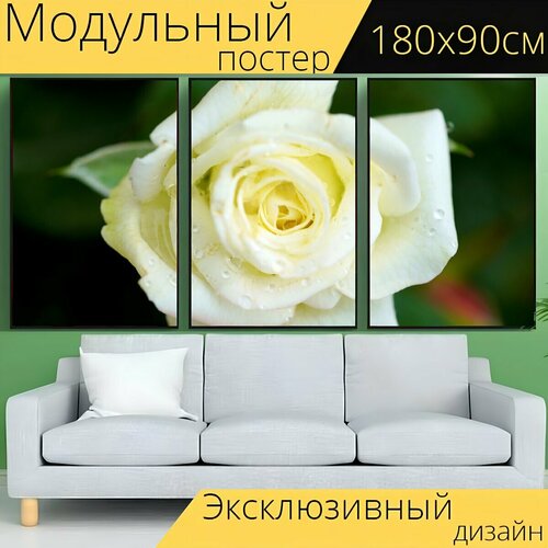 Модульный постер "Романтика, роза, любовь" 180 x 90 см. для интерьера