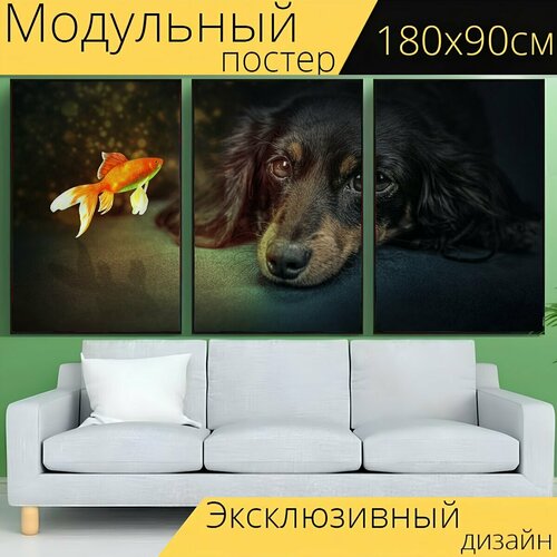 Модульный постер "Манипуляция, собака, щенок" 180 x 90 см. для интерьера
