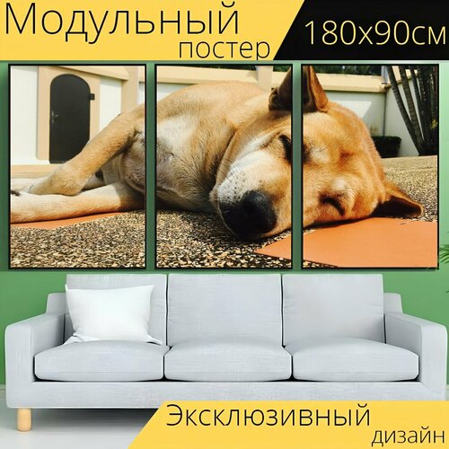 Модульный постер "Животное, домашний питомец, собачка" 180 x 90 см. для интерьера