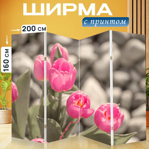 Ширма перегородка с принтом "Тюльпан, цвести, цветок" на холсте - 200x160 см. для зонирования, раскладная