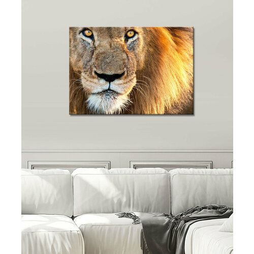 Картина - Лев, лев царь зверей, красивый лев, грива льва, глаза льва (29) 40х60