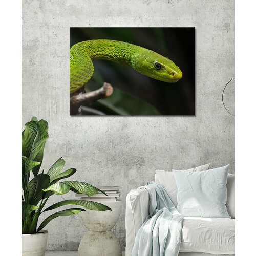 Картина - змея, зелёная змея, змея на тёмном фоне, змея на ветке, глаз змеи (10) 20х30