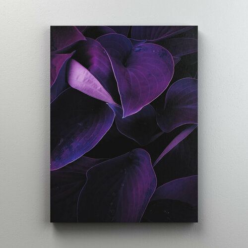 Интерьерная картина на холсте "Растение с фиолетовыми листьями" растения, размер 30x40 см