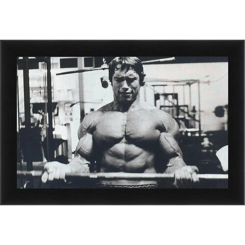 Плакат, постер на холсте Шварценеггер Арнольд (Arnold Schwarzenegger). Размер 60 х 84 см