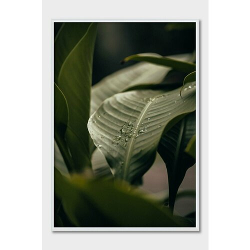 Постер для интерьера Postermarkt, 30х40 см в белой рамке, декор на стену Растение #41