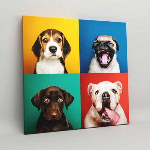 Картина на холсте (интерьерный постер) "Любимцы" поп арт животные с деревянным подрамником, размер 60х60 см