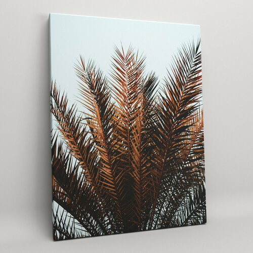 Картина на холсте (интерьерный постер) "Южная пальма", с деревянным подрамником, размер 30x40 см