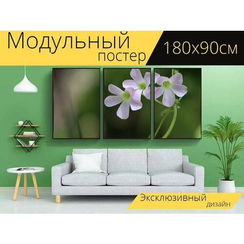 Модульный постер "Фиолетовый, цветок, лаванда" 180 x 90 см. для интерьера