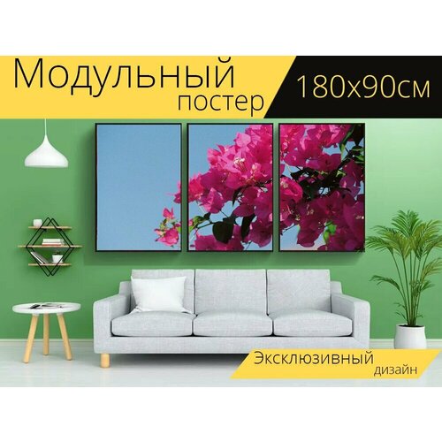Модульный постер "Бугенвиллия, бугенвиль, тройной цветок" 180 x 90 см. для интерьера