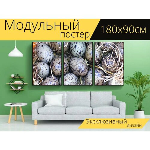 Модульный постер "Чайки яйца, яйца, чайка" 180 x 90 см. для интерьера