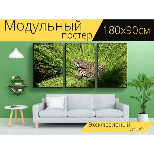 Модульный постер "Лягушка, пруд, животное" 180 x 90 см. для интерьера