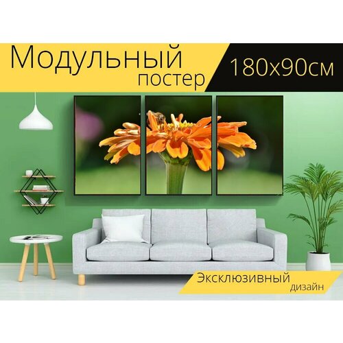 Модульный постер "Цинния, цвести, композиты" 180 x 90 см. для интерьера