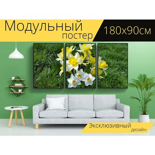 Модульный постер "Нарцисс, нарцисс букет, нарцисс цветок" 180 x 90 см. для интерьера