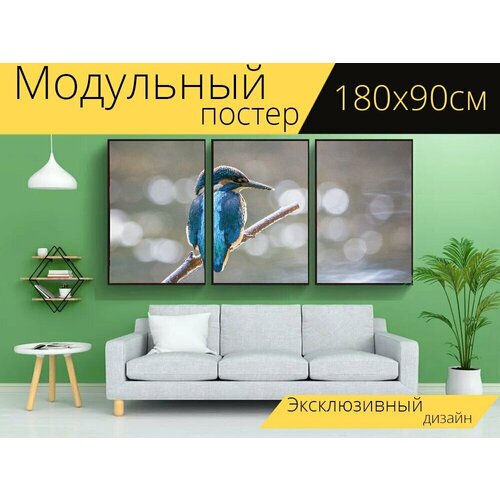 Модульный постер "Птица, зимородок, филиал" 180 x 90 см. для интерьера