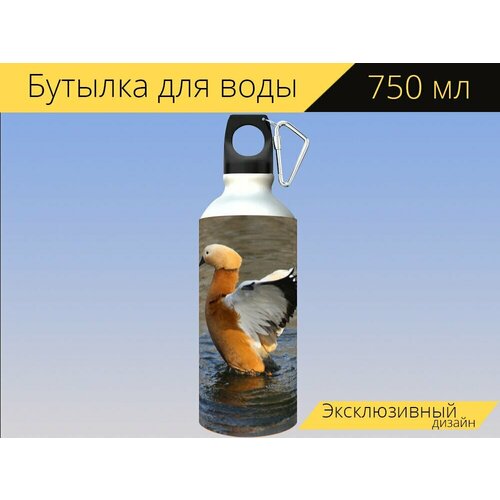 Бутылка фляга для воды "Огарь, птица, пруд" 750 мл. с карабином и принтом