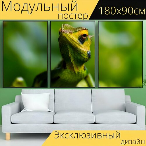 Модульный постер "Ящерица, рептилия, дикая природа" 180 x 90 см. для интерьера