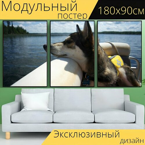 Модульный постер "Собака, лодка, озеро" 180 x 90 см. для интерьера