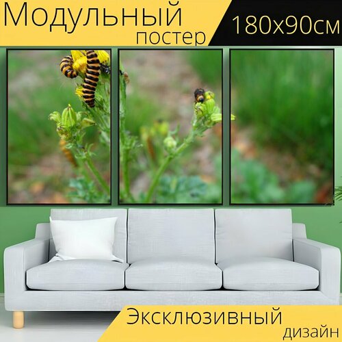 Модульный постер "Гусеницы, насекомые, личинки" 180 x 90 см. для интерьера
