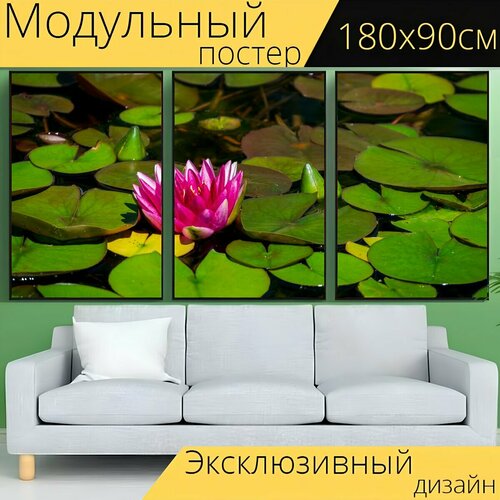 Модульный постер "Цветок, водяная лилия, пруд" 180 x 90 см. для интерьера