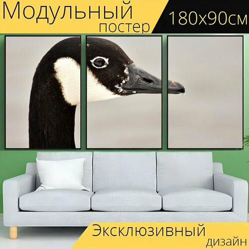 Модульный постер "Гусь, водоплавающая птица, дикий гусь" 180 x 90 см. для интерьера
