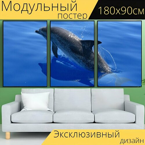 Модульный постер "Дельфин, море, океан" 180 x 90 см. для интерьера