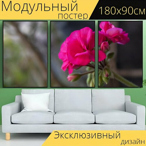 Модульный постер "Цветок, лепестки, роза" 180 x 90 см. для интерьера