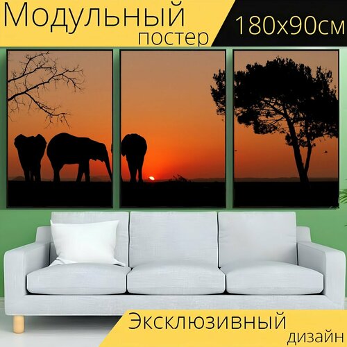 Модульный постер "Заход солнца, животные, слоны" 180 x 90 см. для интерьера
