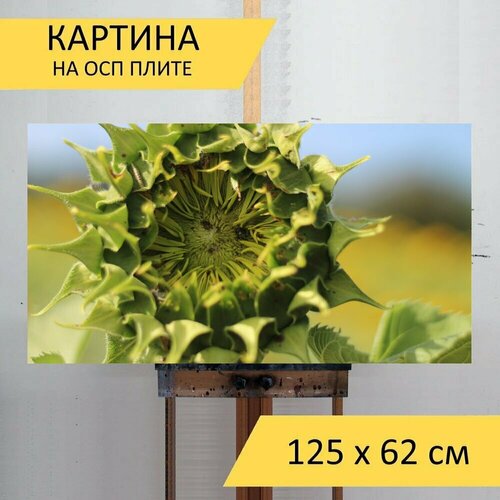 Картина на ОСП 125х62 см. "Подсолнечник, цветок, желтый" горизонтальная, для интерьера, с креплениями