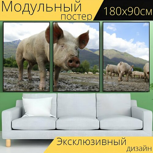 Модульный постер "Свинья, сеять, домашняя свинья" 180 x 90 см. для интерьера