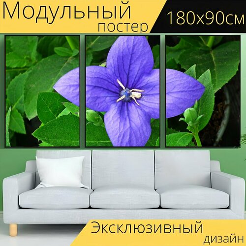 Модульный постер "Цветок, синий, весна" 180 x 90 см. для интерьера