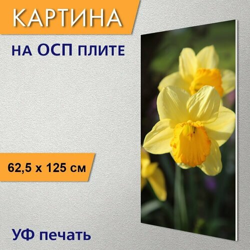 Вертикальная картина на ОСП "Нарцисс, нарцисс желтый, цветение" 62x125 см. для интерьериа