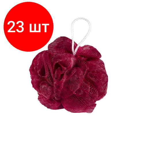 Комплект 23 штук, Мочалка Fresh idea Шар 40г