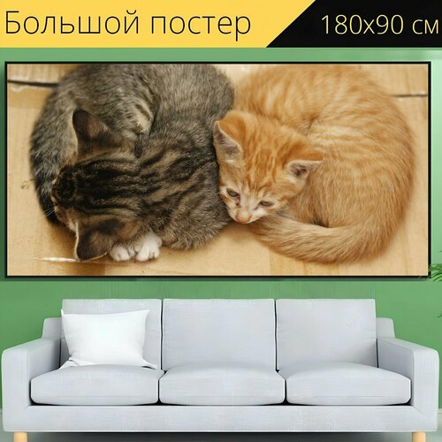 Большой постер "Кошка, милый, кот и" 180 x 90 см. для интерьера