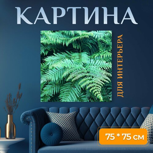Картина на холсте "Папоротники, лес, завод" на подрамнике 75х75 см. для интерьера