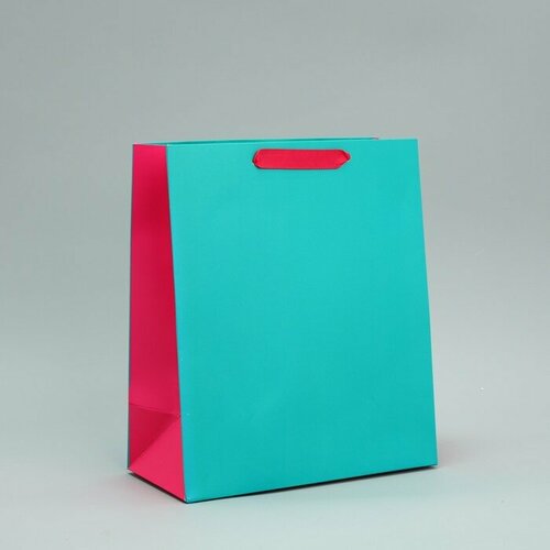 Пакет подарочный двухцветный, упаковка, «Розовый-голубой», ML 23 х 27 х 11.5 см (комплект из 11 шт)