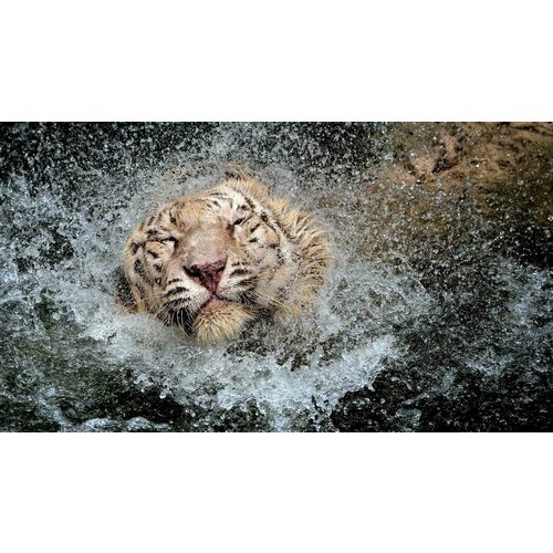Картина на холсте 60x110 LinxOne "Вода тигр брызги" интерьерная для дома / на стену / на кухню / с подрамником