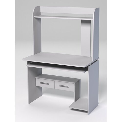 Компьютерный стол "менеджер" №41, Серый 100 x 60 x 150 см