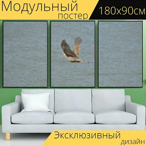 Модульный постер "Животное, река, птица" 180 x 90 см. для интерьера