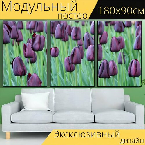 Модульный постер "Тюльпаны, цветы, природа" 180 x 90 см. для интерьера