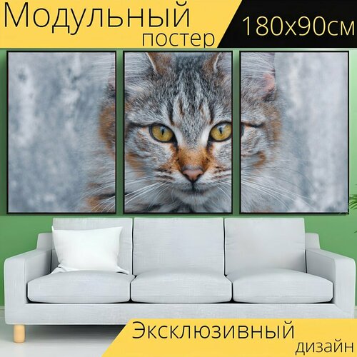 Модульный постер "Кошка, китти, портрет" 180 x 90 см. для интерьера